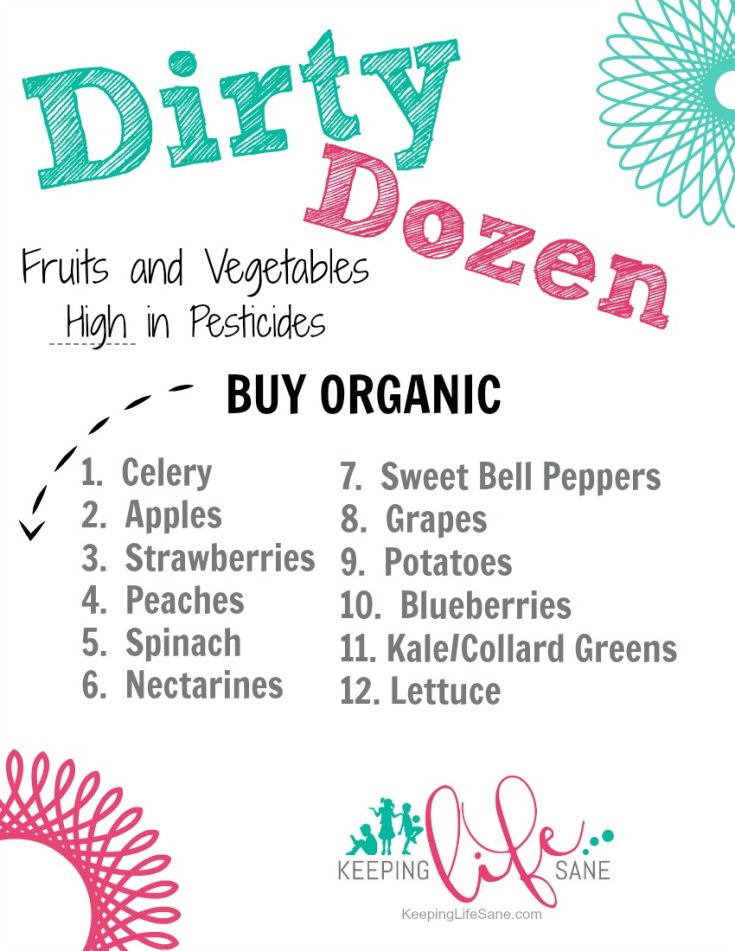 Dirty Dozen- Free Printable! - Keeping Life Sane