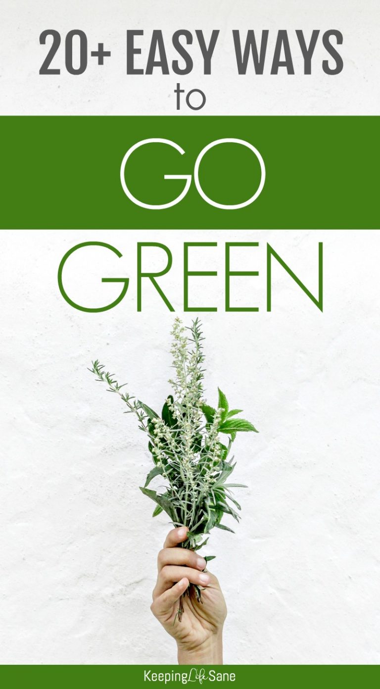 20+ Going Green at Home Ideas - Keeping Life Sane